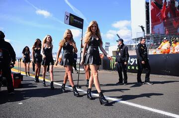 TOP 15 najpiękniejszych paddock girl - Antyradio
