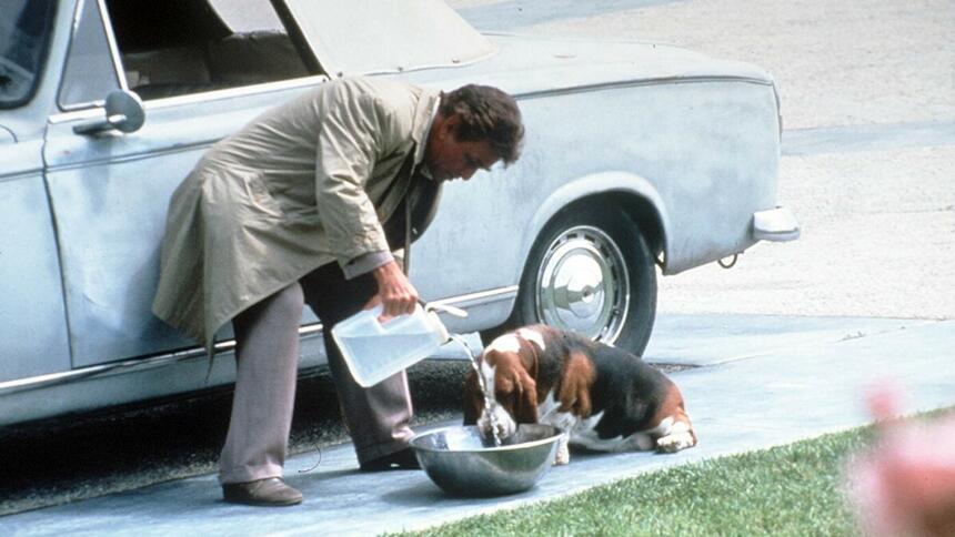 Nie żyje twórca serialu "Columbo". William Link miał 87 lat - Antyradio