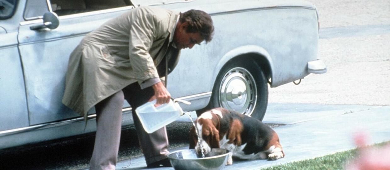 Nie żyje twórca serialu "Columbo". William Link miał 87 lat - Antyradio