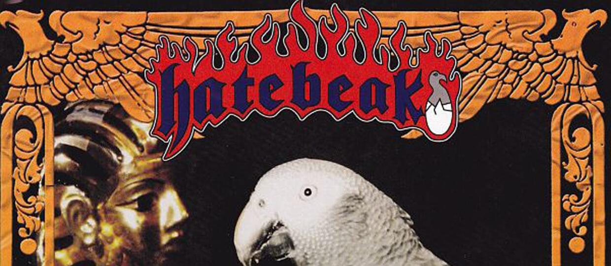 Hatebeak: papuga wokalistką zespołu deathmetalowego - Antyradio