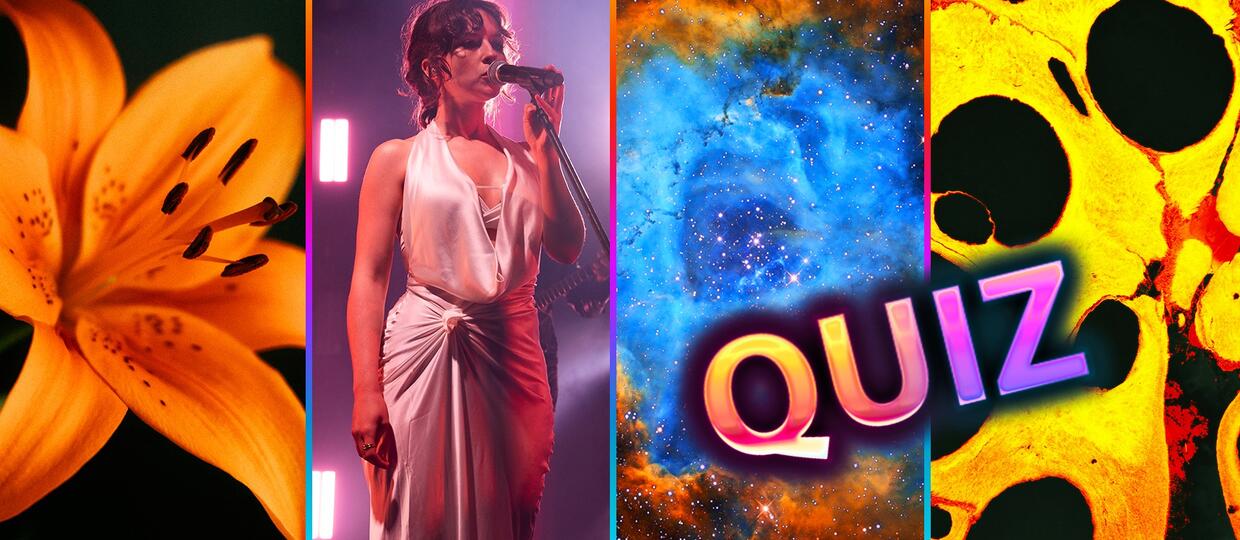 Quiz dla ludzi z wysokim IQ. Ty nie dasz rady zdobyć 70% - Antyradio